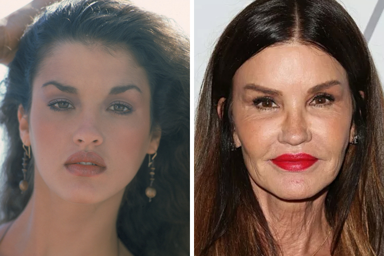 Janice Dickinson Then And Now Top Piercings